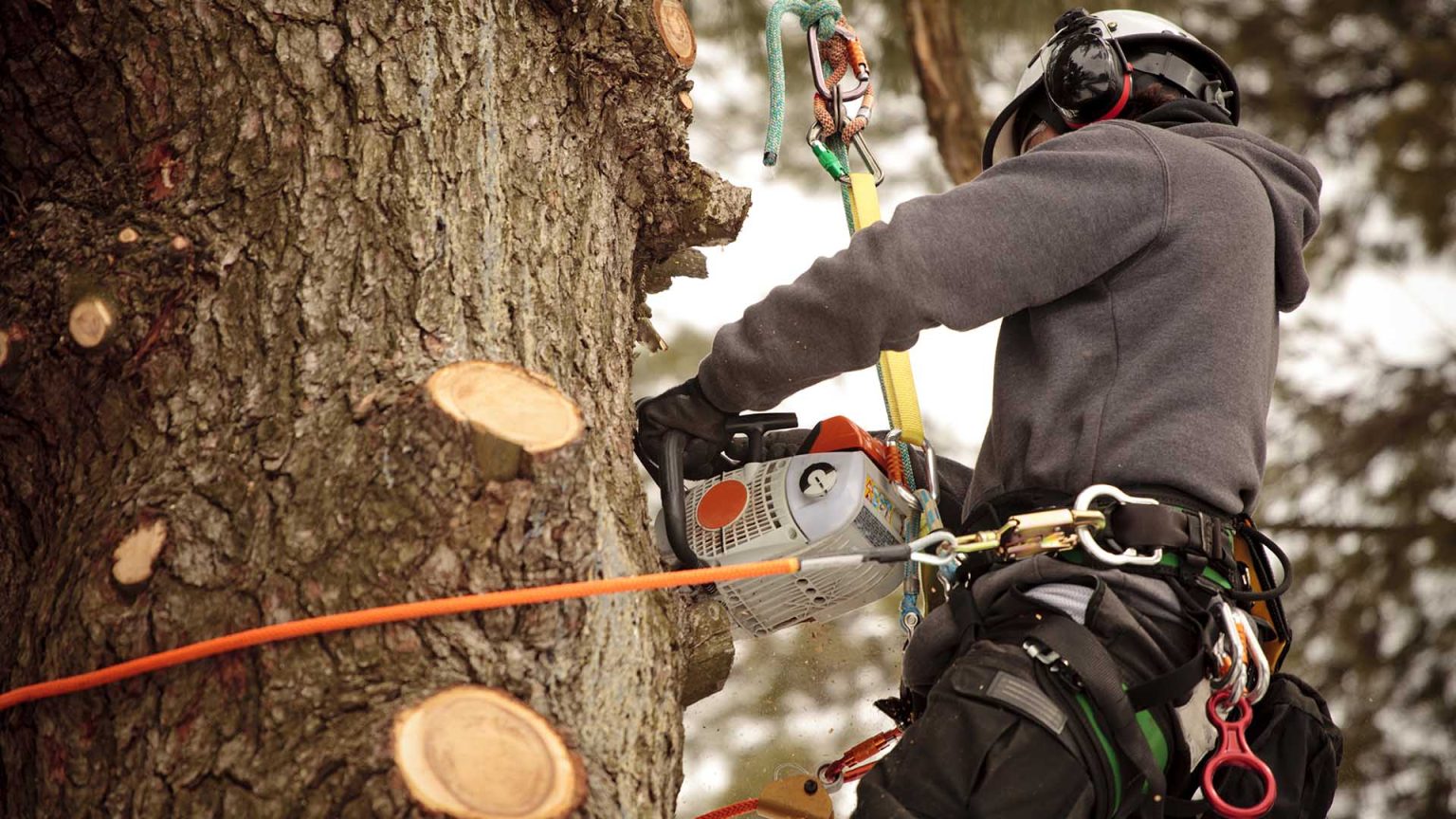 Packout Content Cleaning in Whaley Drain, MI | Ameri Pro Restoration ...